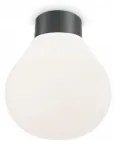 Venkovní stropní lampa Ideal Lux Clio PL1 149899
