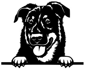 Samolepka pes Beauceron