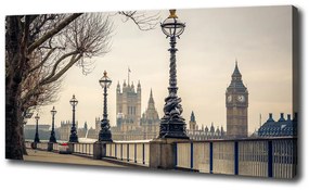 Wallmuralia Foto obraz na plátně Londýn podzim 100x50