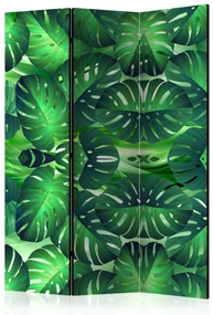 Paraván - Tropical Leaves [Room Dividers] | BIANO