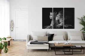 Vícedílný obraz Lev A Lvice Na Černém Pozadí Nedostatek Nedostatek Přírodní plátno 150x100