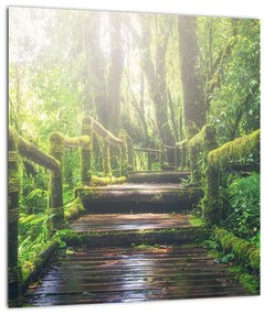 Obraz - dřevěné schody v lese (30x30 cm)