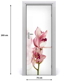 Fototapeta na dveře Růžová orchidej 75x205 cm