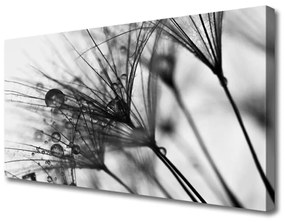 Obraz na plátně Abstrakce Rostlina 100x50 cm