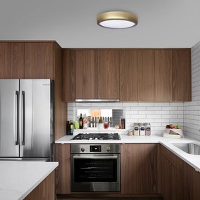 Stropní LED svítidlo Gea, 1x LED 36w, 3000-6000k, g, s ovladačem