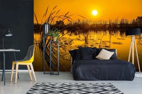 DIMEX | Samolepicí vliesová fototapeta na zeď Jezero v Thajsku MA-5-3056 | 375 x 250 cm | černá, žlutá
