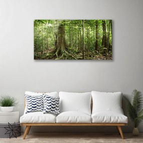 Obraz na plátně Les Příroda Džungle 100x50 cm