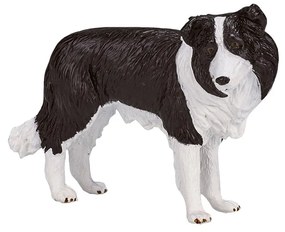 Mojo Border kolie