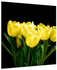 Obraz žlutých tulipánů (50x50 cm)