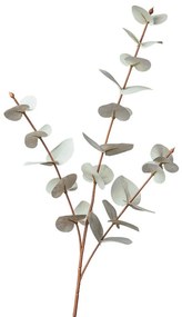 XXXLutz DEKORAČNÍ VĚTVIČKA eukalyptus/blahovičník 68 cm - Umělé květiny - 0068600196