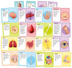 Tactic Pojďme se učit: Naše úžasné tělo