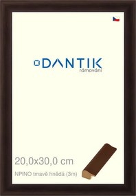 DANTIK rámeček 20x30 | NPINO tmavě hnědá (Sklo Čiré)