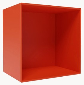 Modul Mini 1001