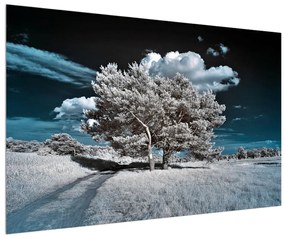 Obraz sněhobílého stromu (120x80 cm)