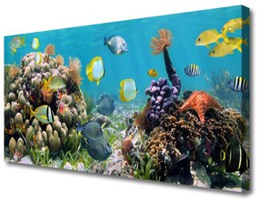 Obraz na plátně Korálový Útes Příroda 100x50 cm
