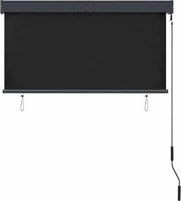 Venkovní roleta 120 x 250 cm antracitová 145964