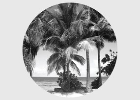 Samolepící vliesová fototapeta na zed' Tropická Nostalgie | 140 x 140 cm | DCR3309