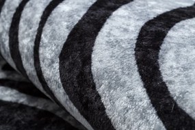 Dywany Łuszczów, Kusový koberec Miro 51331.803 Zebra black / white, 120x170, černobílá, chodba / předsíň