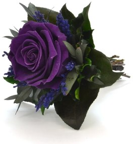 Stabilizovaná aranž Lucy Purple - fialová