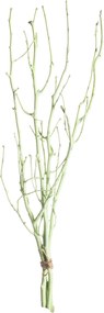 Lísková větev 50cm light green