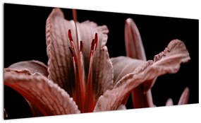 Detail květiny - obraz (100x40cm)