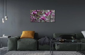 Obraz na skle fialové magnolie 100x50 cm