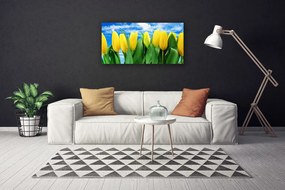 Obraz na plátně Tulipány Květiny 120x60 cm