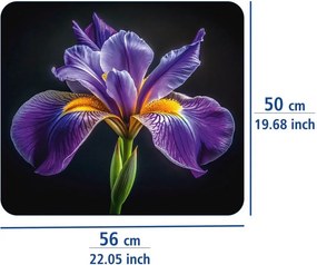 Kryt na zeď u sporáku z tvrzeného skla 50x56 cm Iris – Wenko