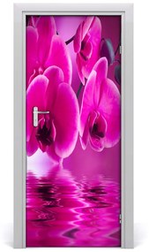 Fototapeta samolepící Růžová orchidej 75x205 cm