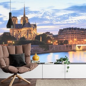 Fototapeta Paříž – Notre-Dame Samolepící tapety 104x70.5