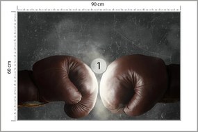 Fototapeta Souboj Boxerských Pěstí Vliesová tapeta 135x90