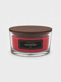 Sinsay - Vonná svíčka s dřevěným knotem Cranberry - burgundy
