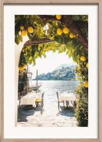 Tištěný obraz s rámem 50x70 cm Lemon View – Styler