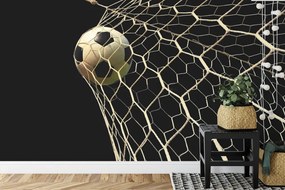 Fototapeta Fotbal V Brance Vliesová tapeta 450x300