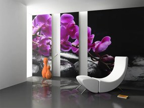 Fototapeta Okamžik relaxace - květy orchidejí na kamenech zen na černém pozadí