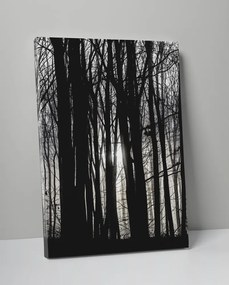 Plakát / Obraz Forest S okrajem Pololesklý saténový papír 210 g/m² A4 - 21 x 29,7 cm