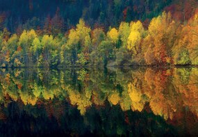 Postershop Fototapeta: Podzimní les a jezero - 368x254cm
