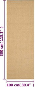 Koberec přírodní sisal 100 x 300 cm 136314