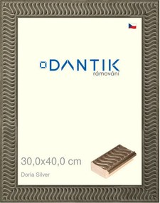DANTIK rámeček 30x40 | Doria Silver (Plexi Čiré)