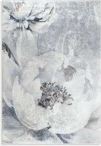 Koberec Lotus4, 160x220 cm, květy