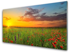 Obraz na skle Slunce Louka Květiny Příroda 140x70 cm
