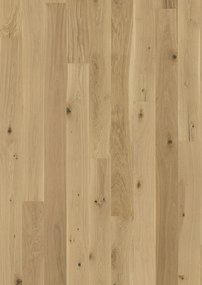 Dřevěná podlaha Dub Oro - přírodní olej - 141238185