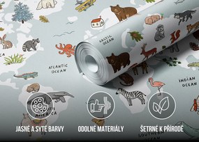 Dětská fototapeta na míru Modrobílá Kreslená Mapa Se Zvířaty | Vliesová fototapeta na zed' | DFTD5P 352447
