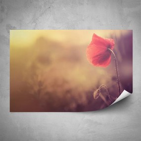 Plakát - Květ vlčího máku (60x40 cm) - PopyDesign