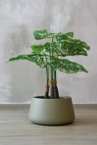 Umělá rostlina PHILO, plast, výška 88 cm, zelená