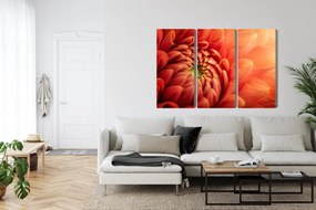 Vícedílný obraz Oranžová Chryzantéma V Makro Měřítku Nedostatek Nedostatek Přírodní plátno 150x100