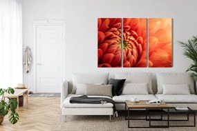 Vícedílný obraz Oranžová Chryzantéma V Makro Měřítku Nedostatek Nedostatek Plátno Canvas 150x100