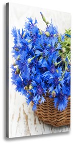 Wallmuralia Vertikální Foto obraz na plátně Květiny v koši 50x100