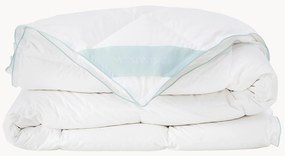 Péřová přikrývka Comfort, celoroční