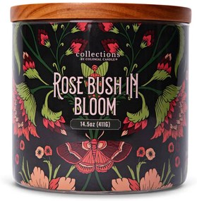 Colonial Candle svíčka Deco Collection Rose Bush In Bloom, 411 g